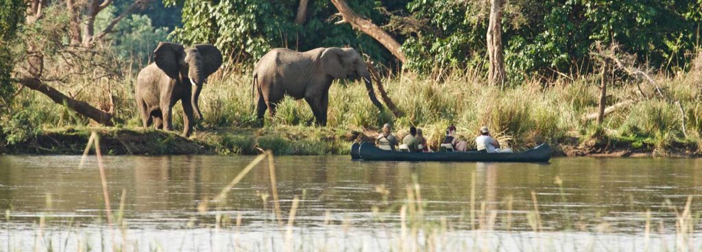 Five of Africa's Best Safari Destinations
