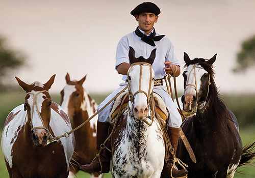 Immerse yourself in Gaucho culture - The Classic Safari Company