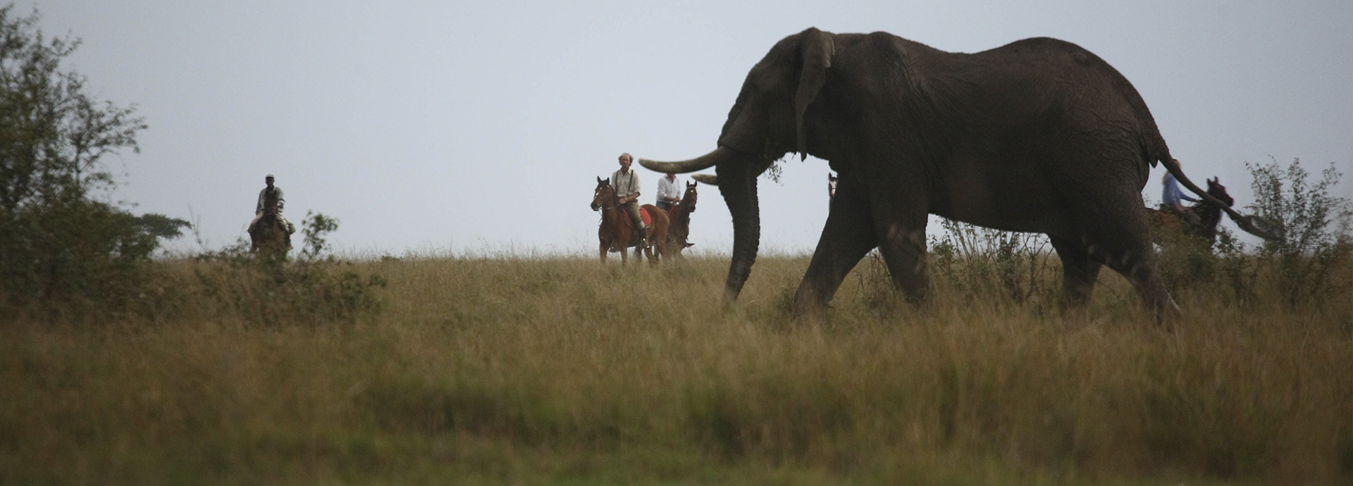 GALLOPING WITH THE MIGRATION: A HORSEBACK SAFARI IN KENYA - The Classic ...